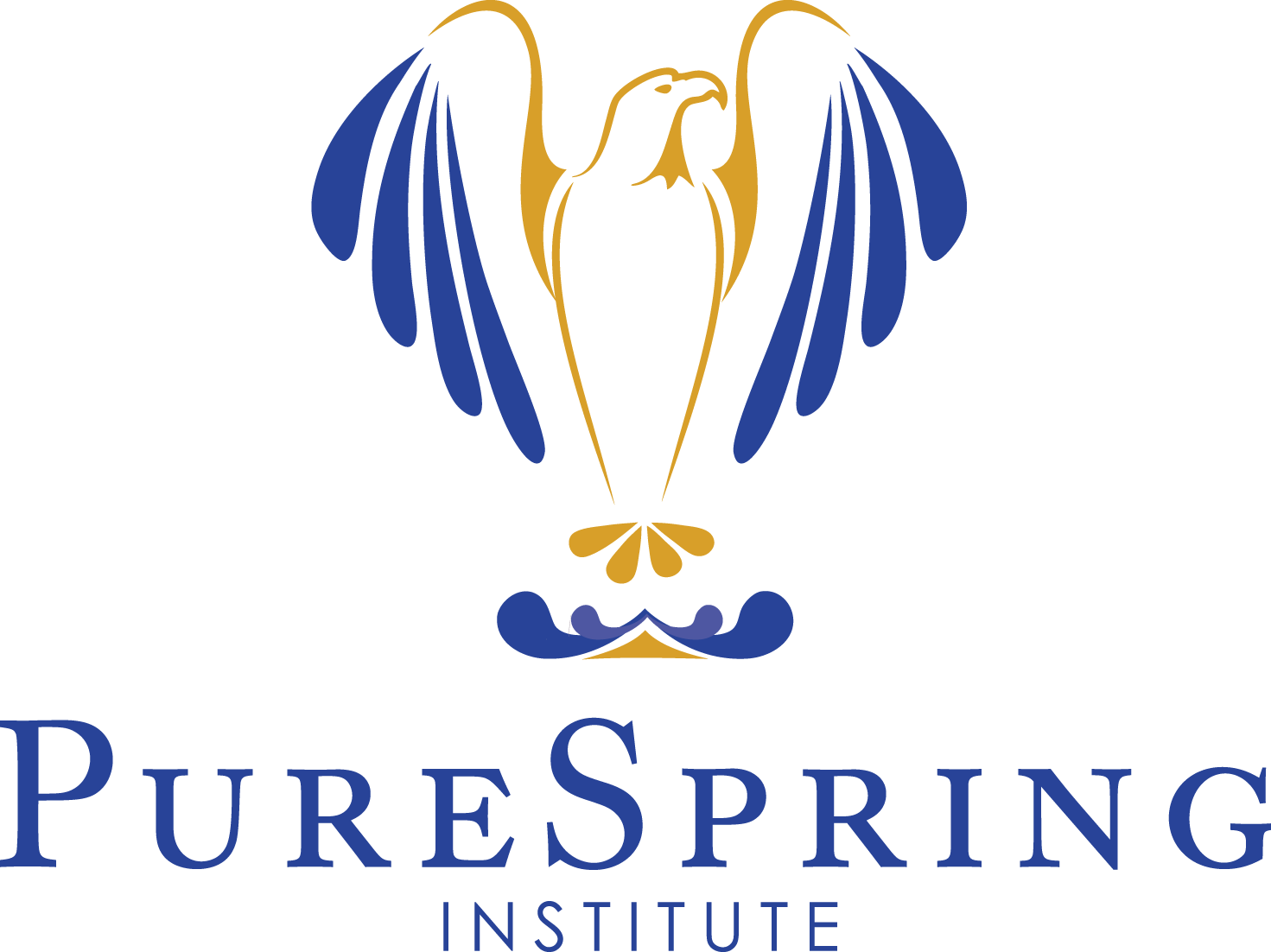 PureSpring Institute’s Prophetic Pilgrimage: Holy Land | MEJDI Tours